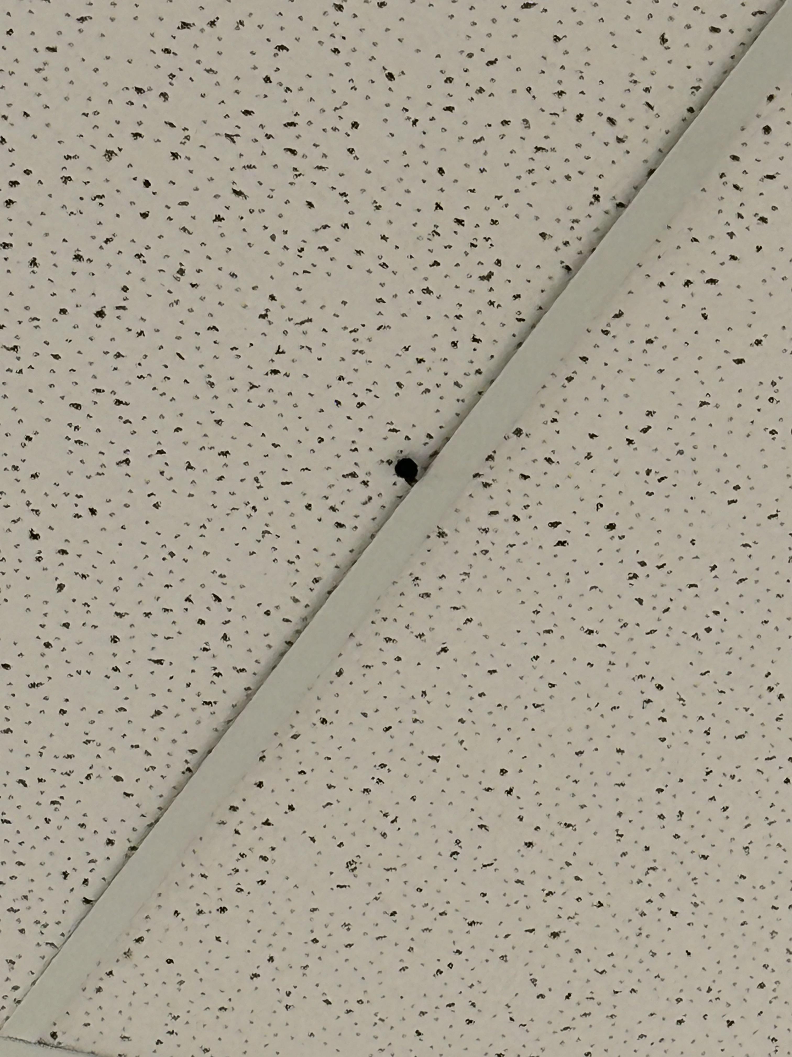 Boba i threw at macy’s ceiling (11 years ago) still stuck there | Scrolller