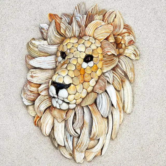 Lion, Anna, Seashells, 2023 | Scrolller