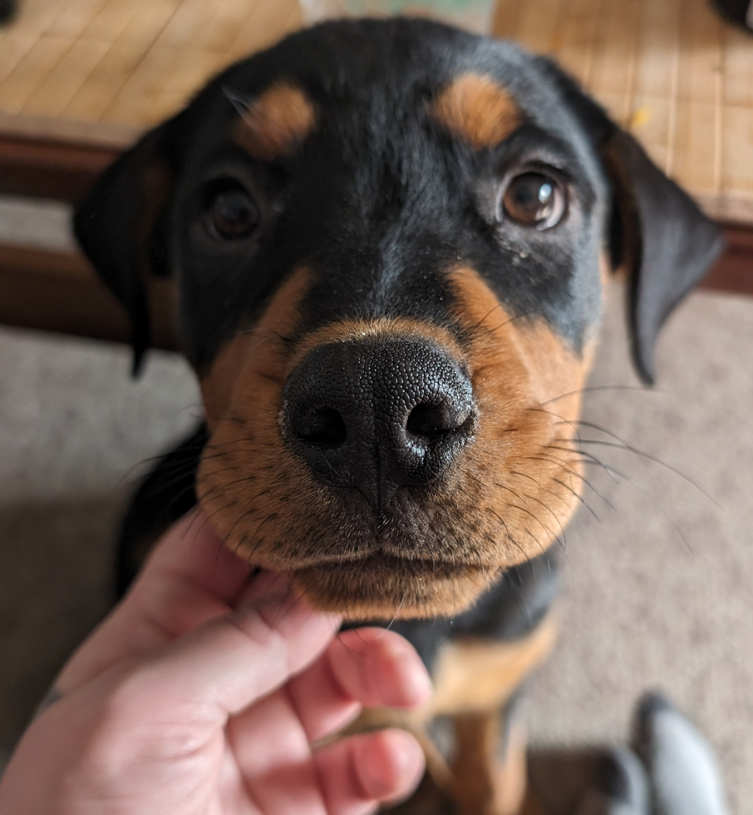 Apollo ☀️ | Scrolller