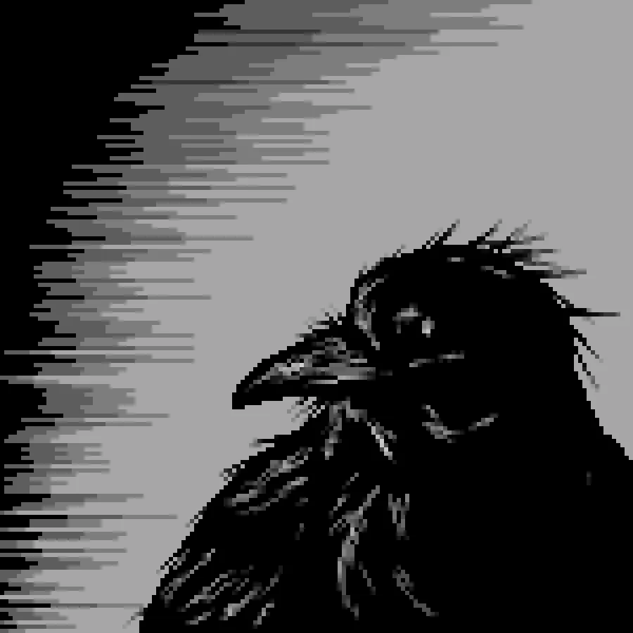 [OC] Ruffled raven | Scrolller