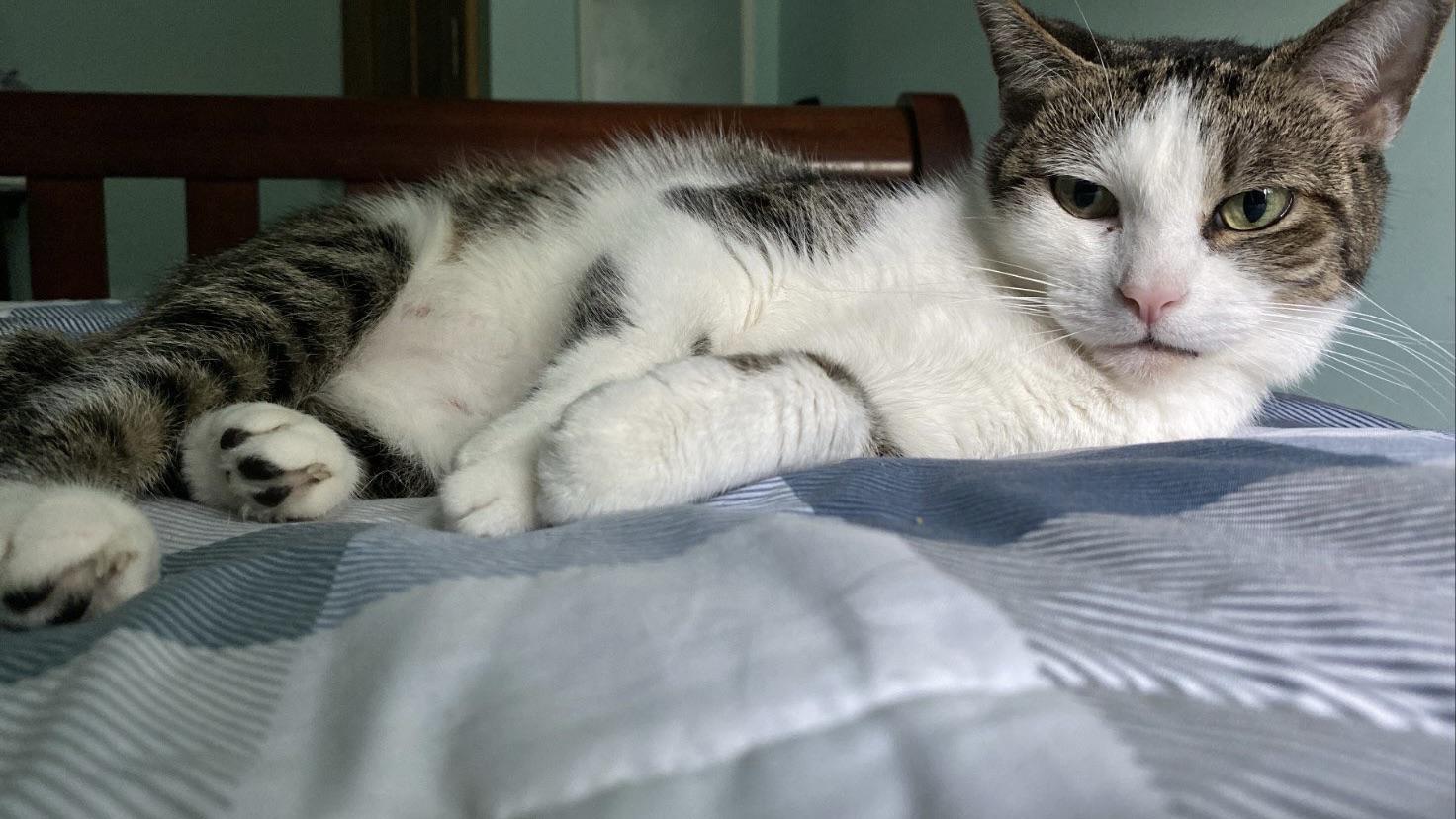 Very comfy | Scrolller