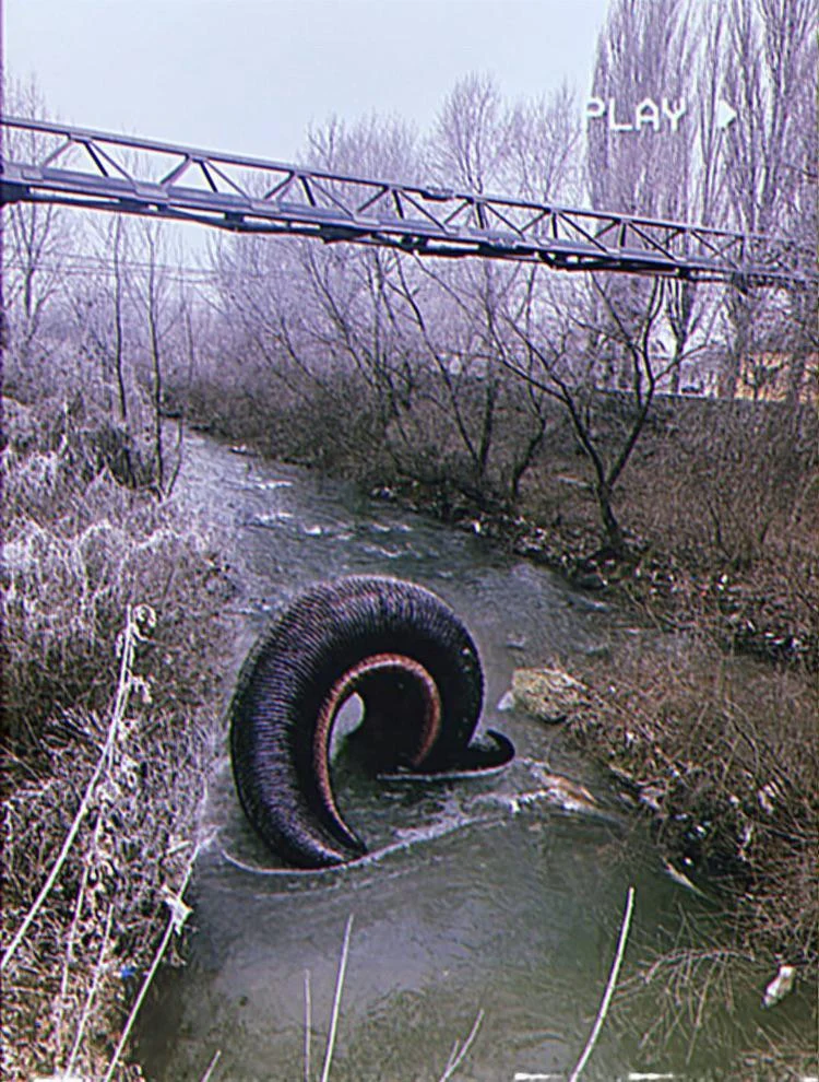 Water tentacles | Scrolller