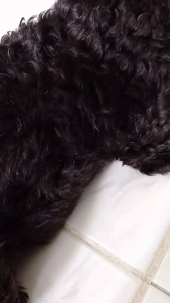 Help is this normal | Scrolller