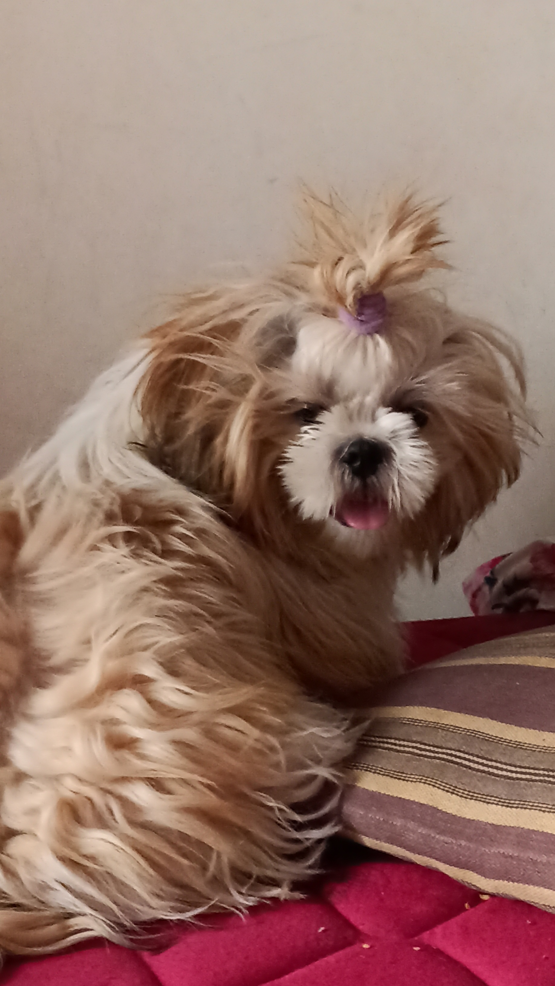 What expression is this🤣 | Scrolller