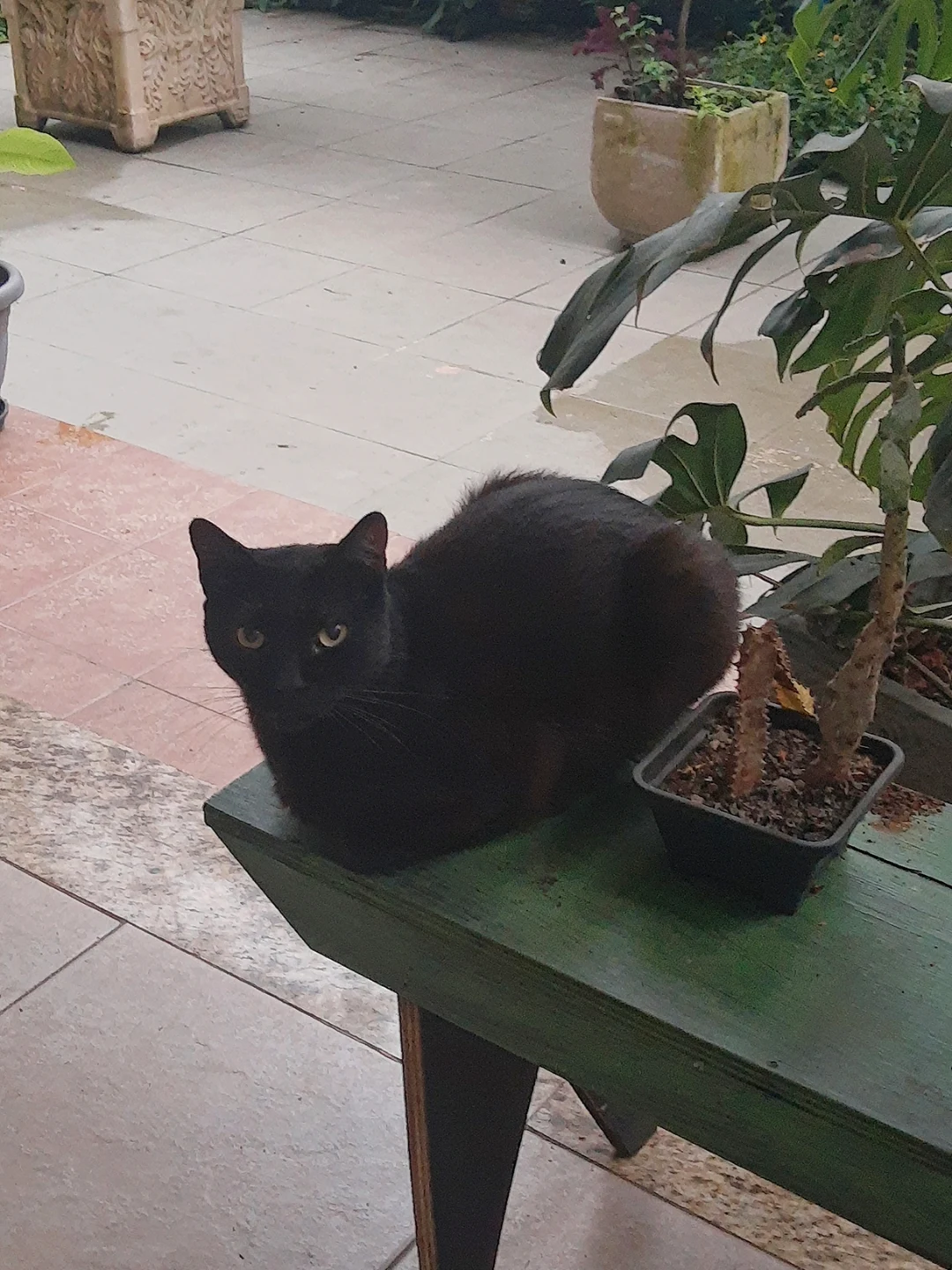 My little burned loaf | Scrolller