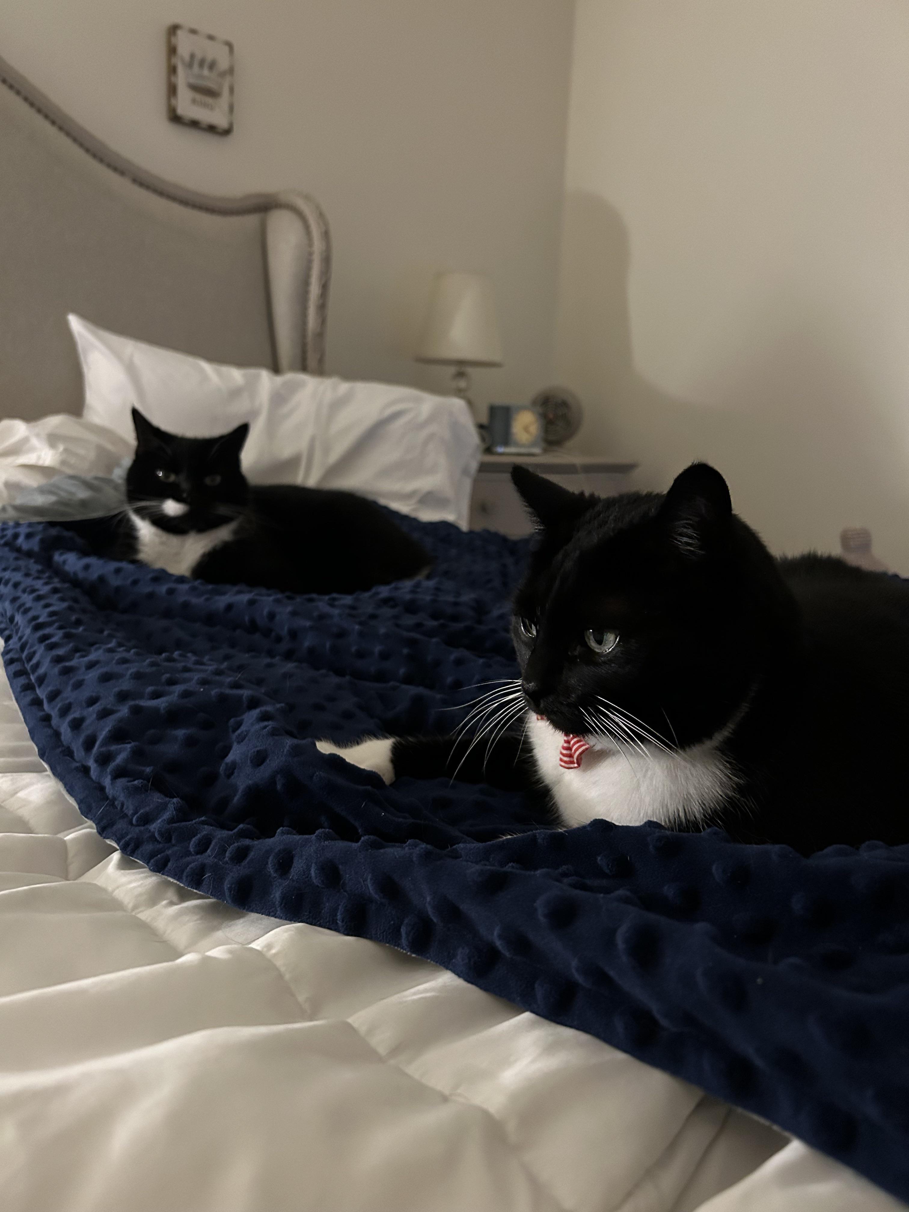 The boys contemplating 2024 | Scrolller