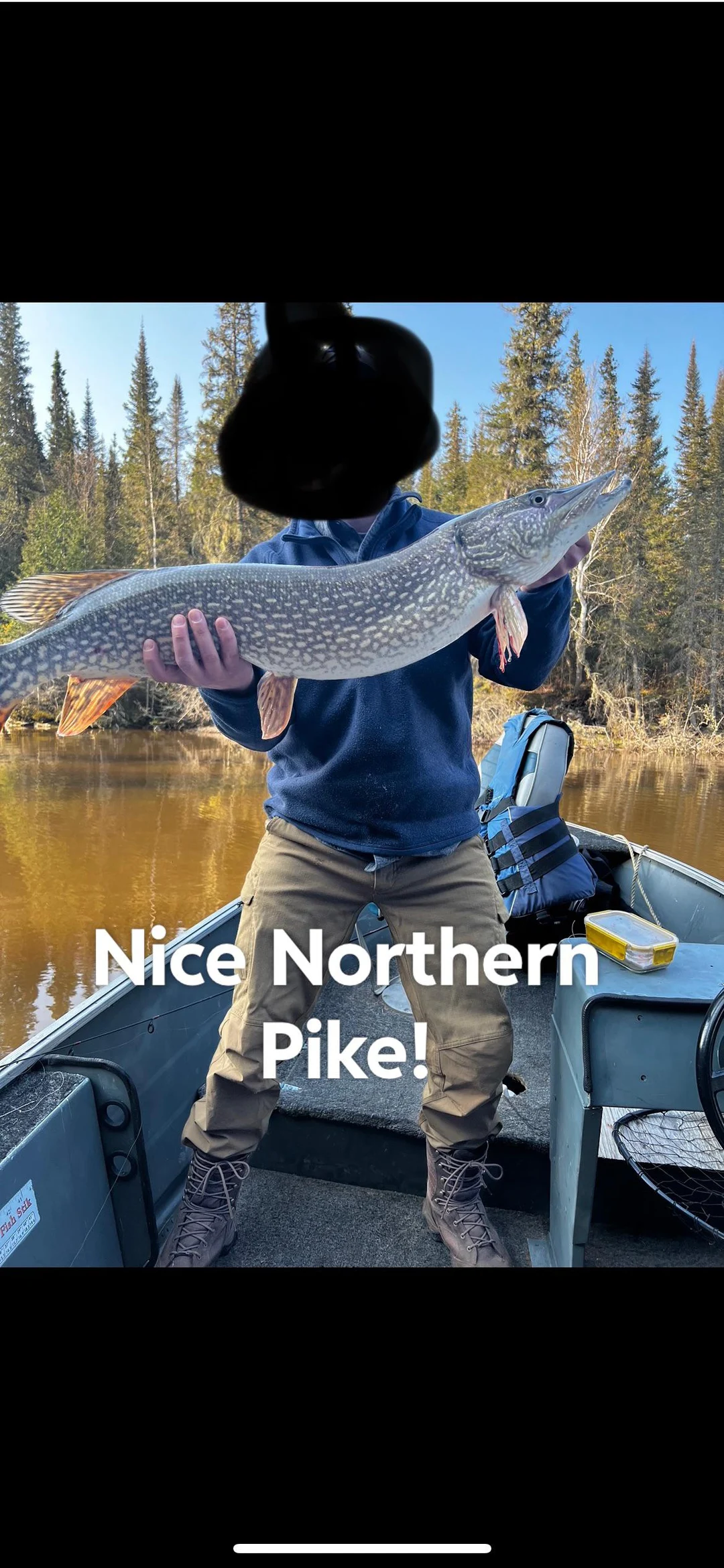 Northern ontario Pike | Scrolller