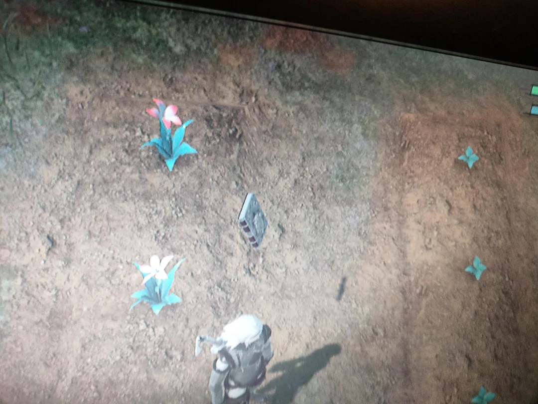 First pink Moonflower in 2 Months | Scrolller