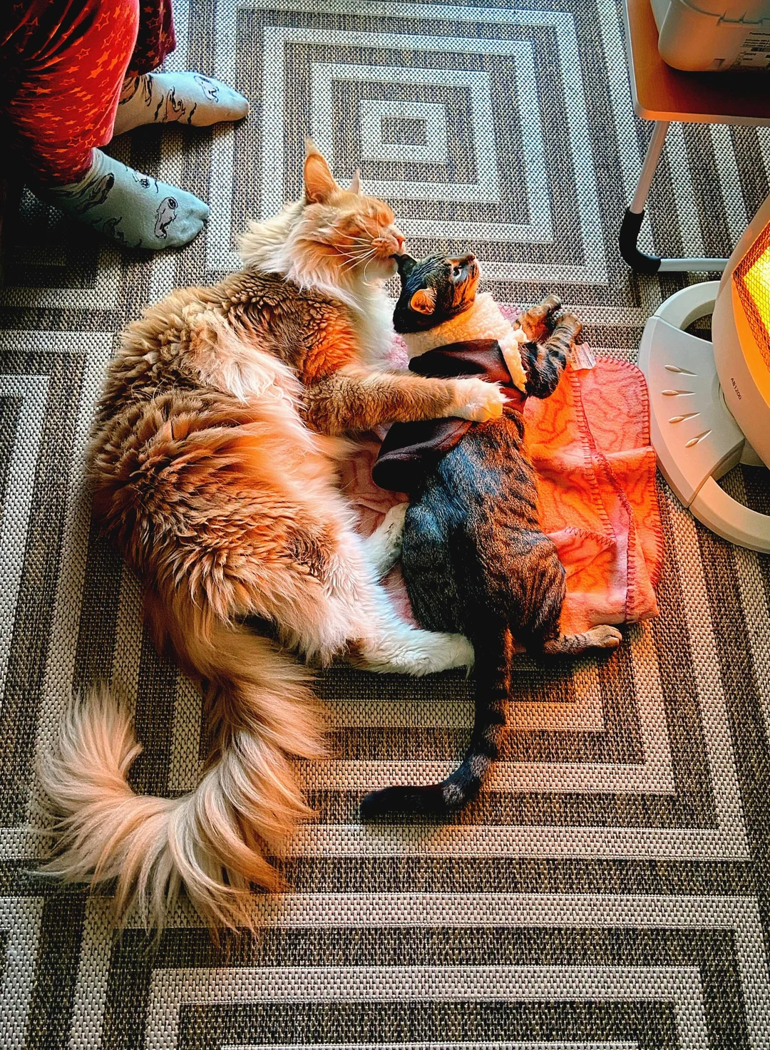 Brotherly Love | Scrolller