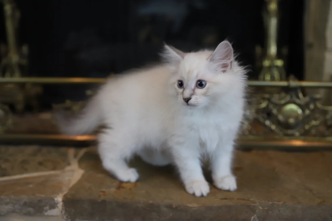 What a difference one year makes | Scrolller