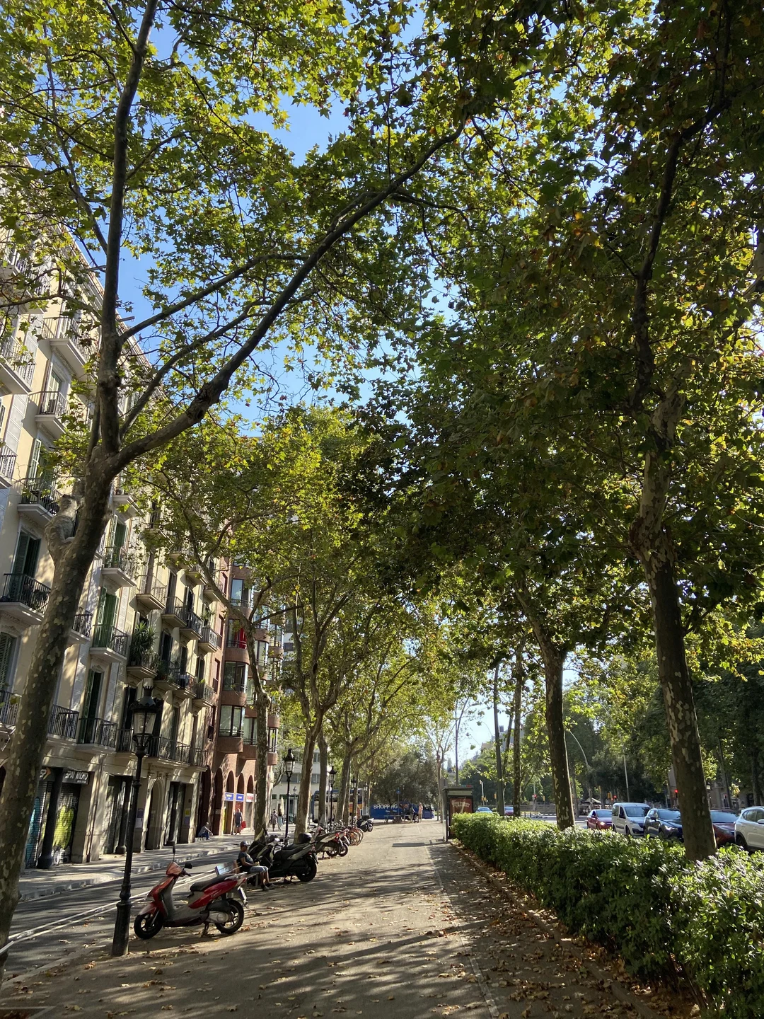 Barcelona, Spain | Scrolller