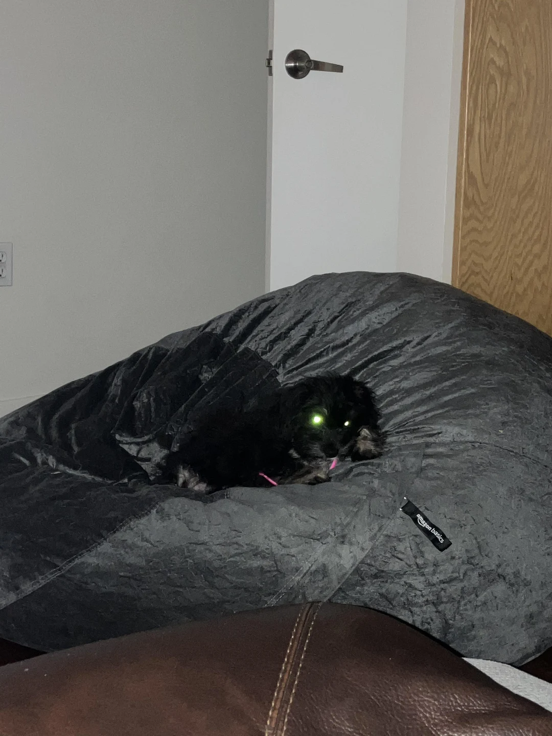 Accidentally took the evilest picture of Johnny | Scrolller