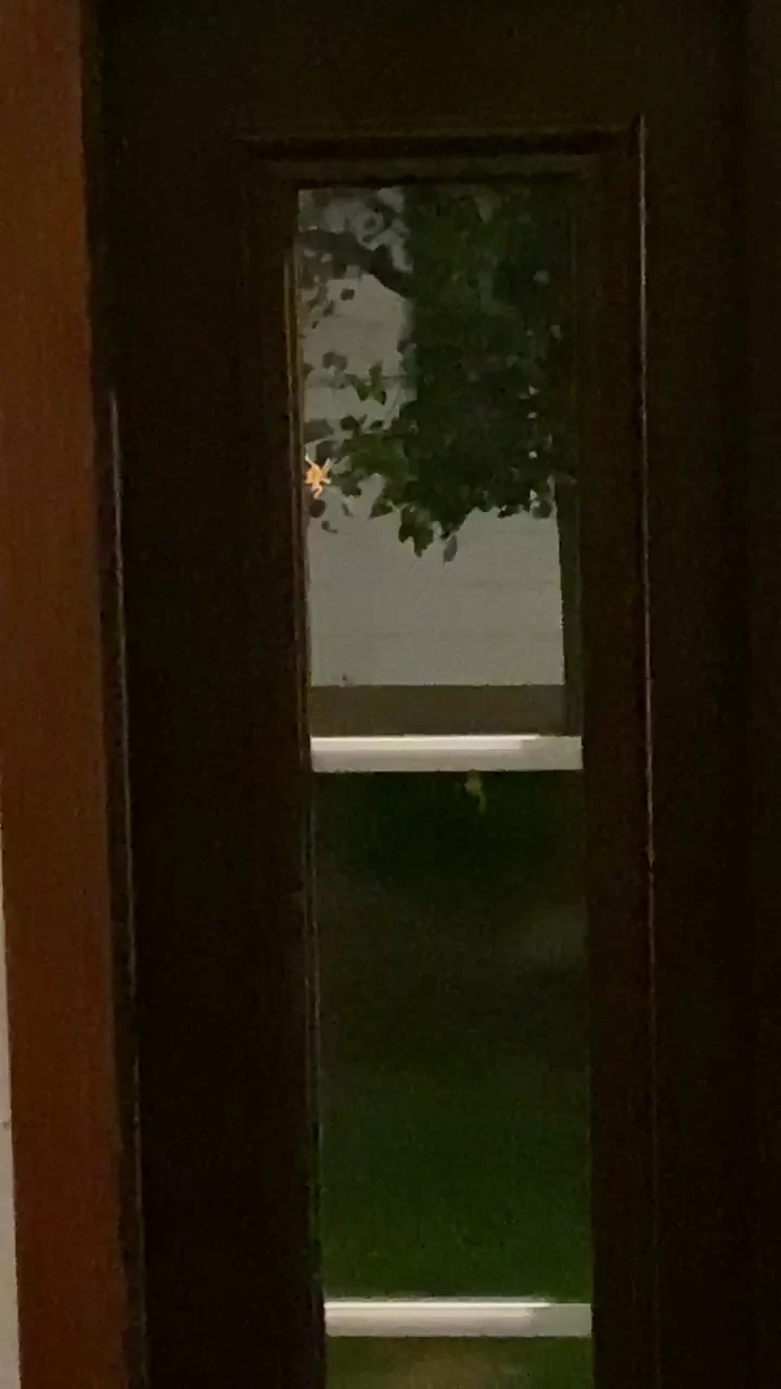 Discover more like Whatisthisbug: Help I’m scared to go outside. and Related Content | Scrolller