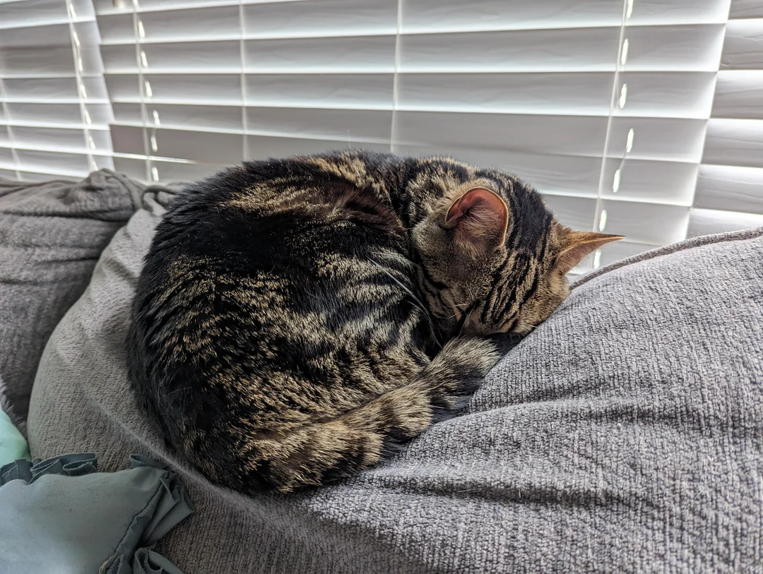 Catch me asleep, how bout DAT?! | Scrolller