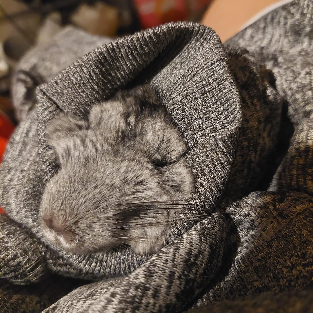 I've finally decided on naming her calypso | Scrolller