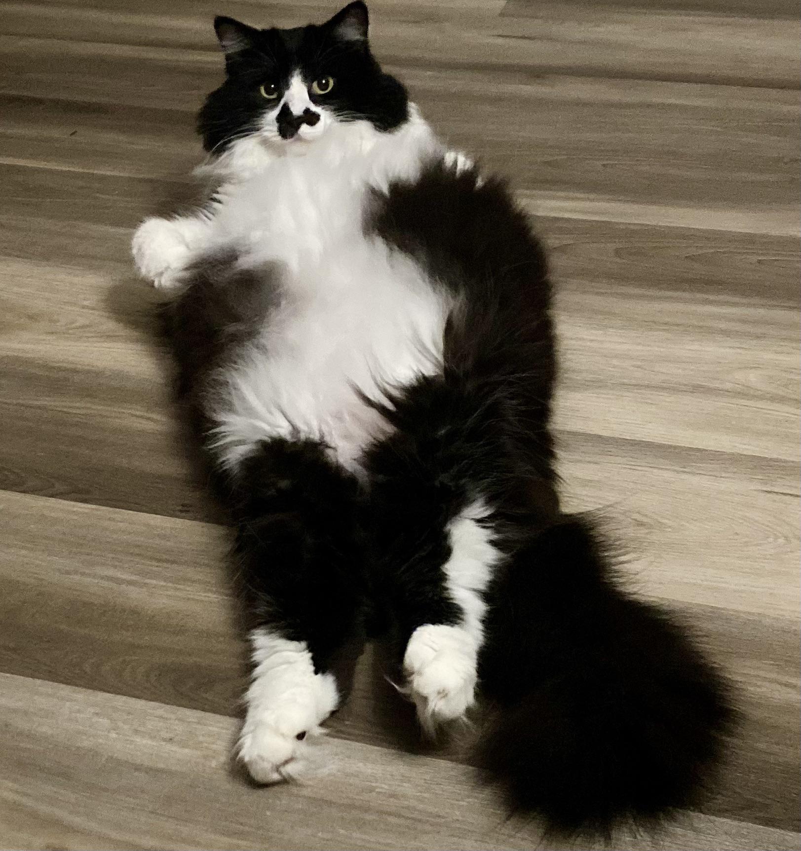 Can’t resist the danger zone | Scrolller