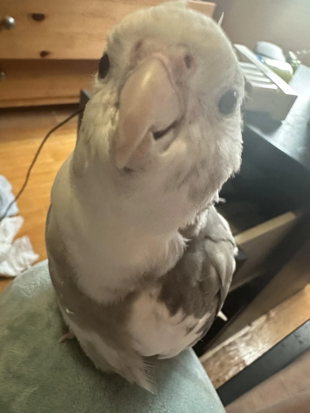 Atlas wants your name and social security number | Scrolller