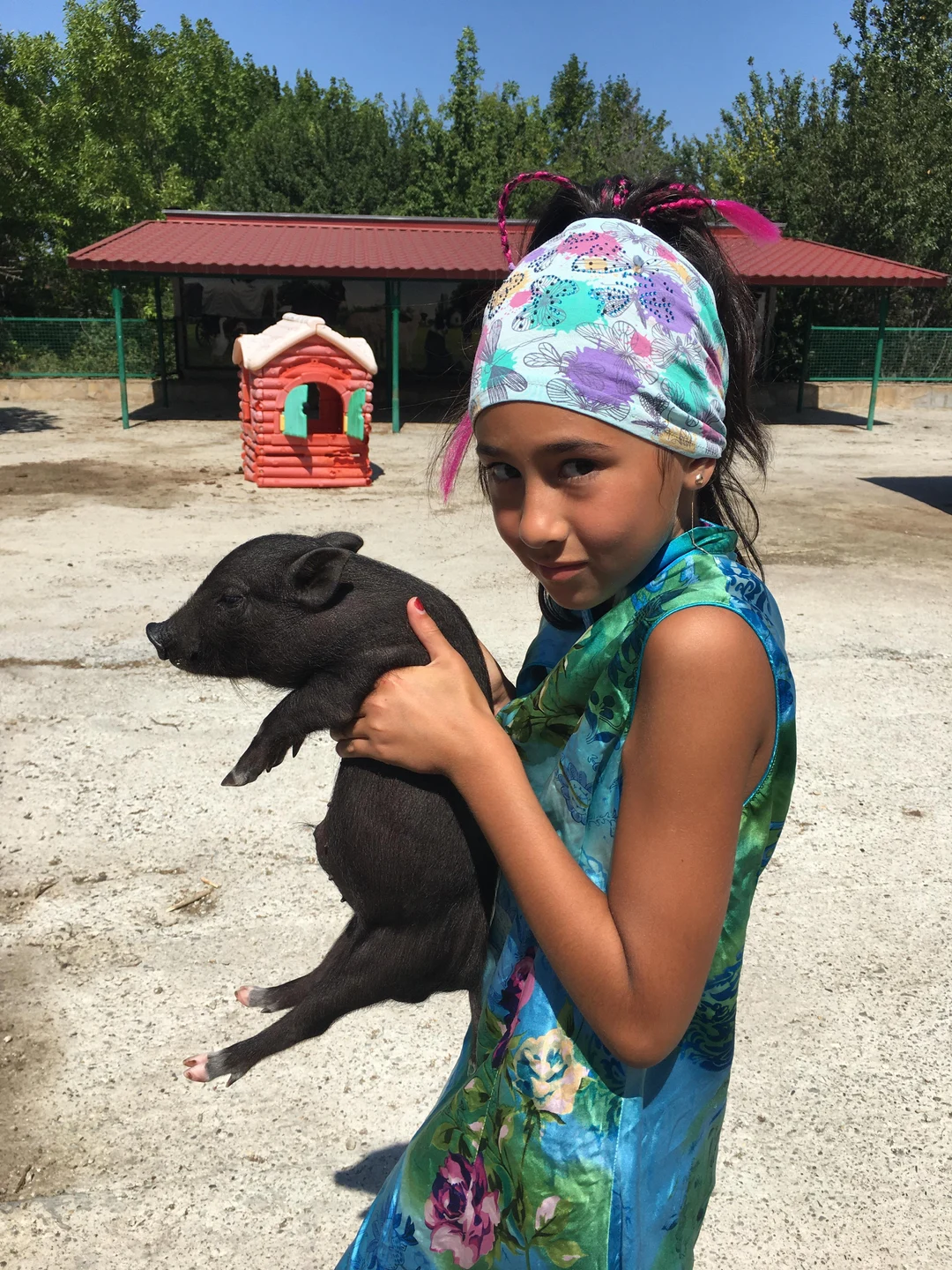 Cute pig! | Scrolller