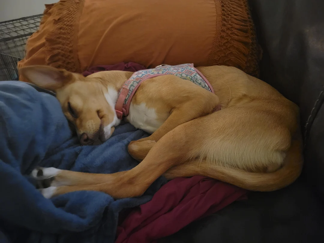 She's part kangaroo | Scrolller