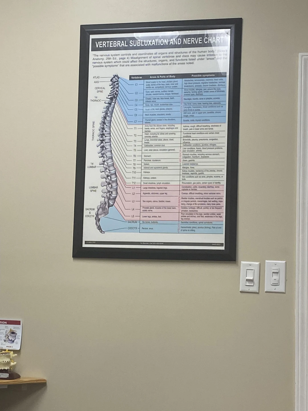 Trans spine | Scrolller