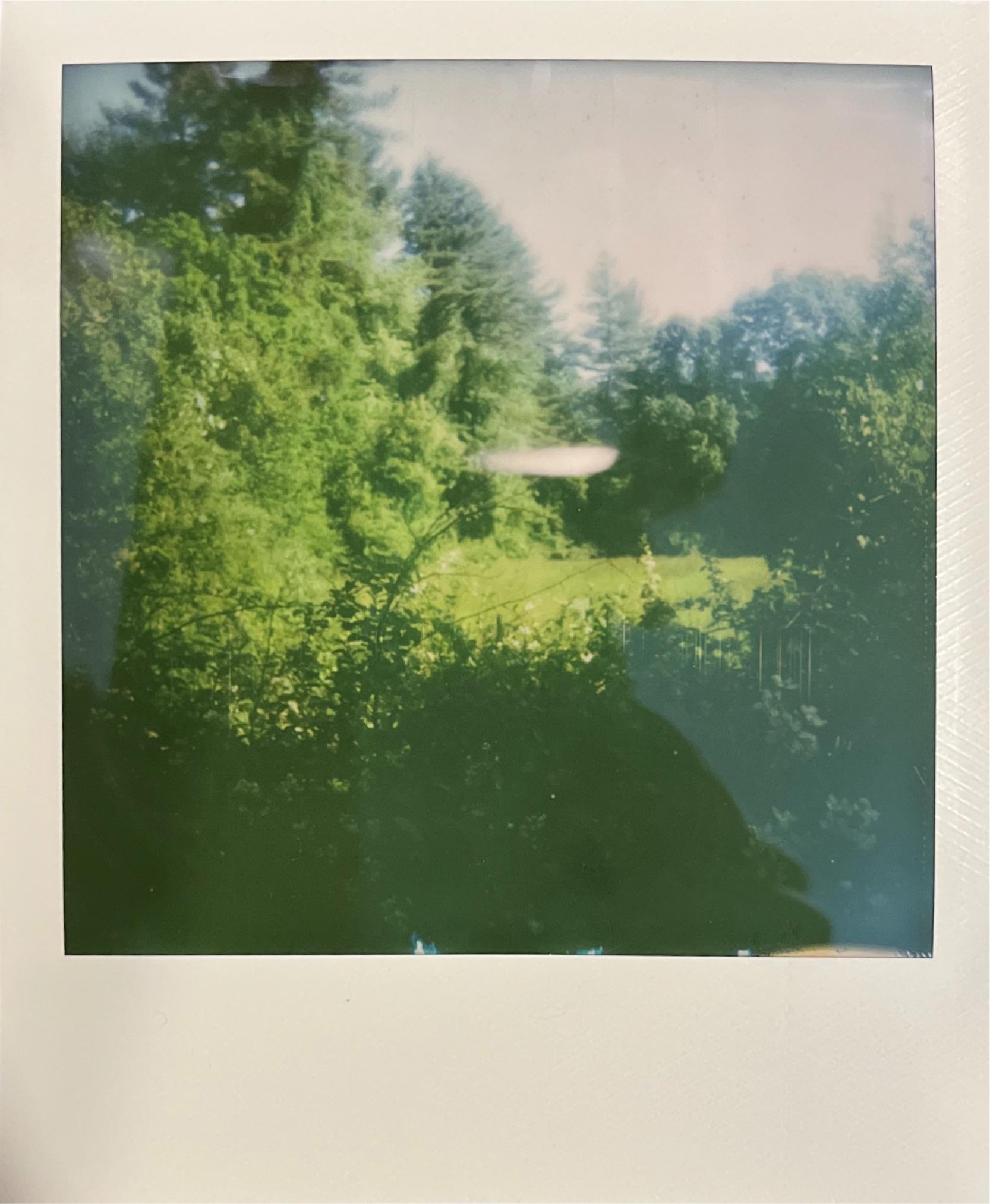 What causes this defect in the middle of all my pictures? | Scrolller