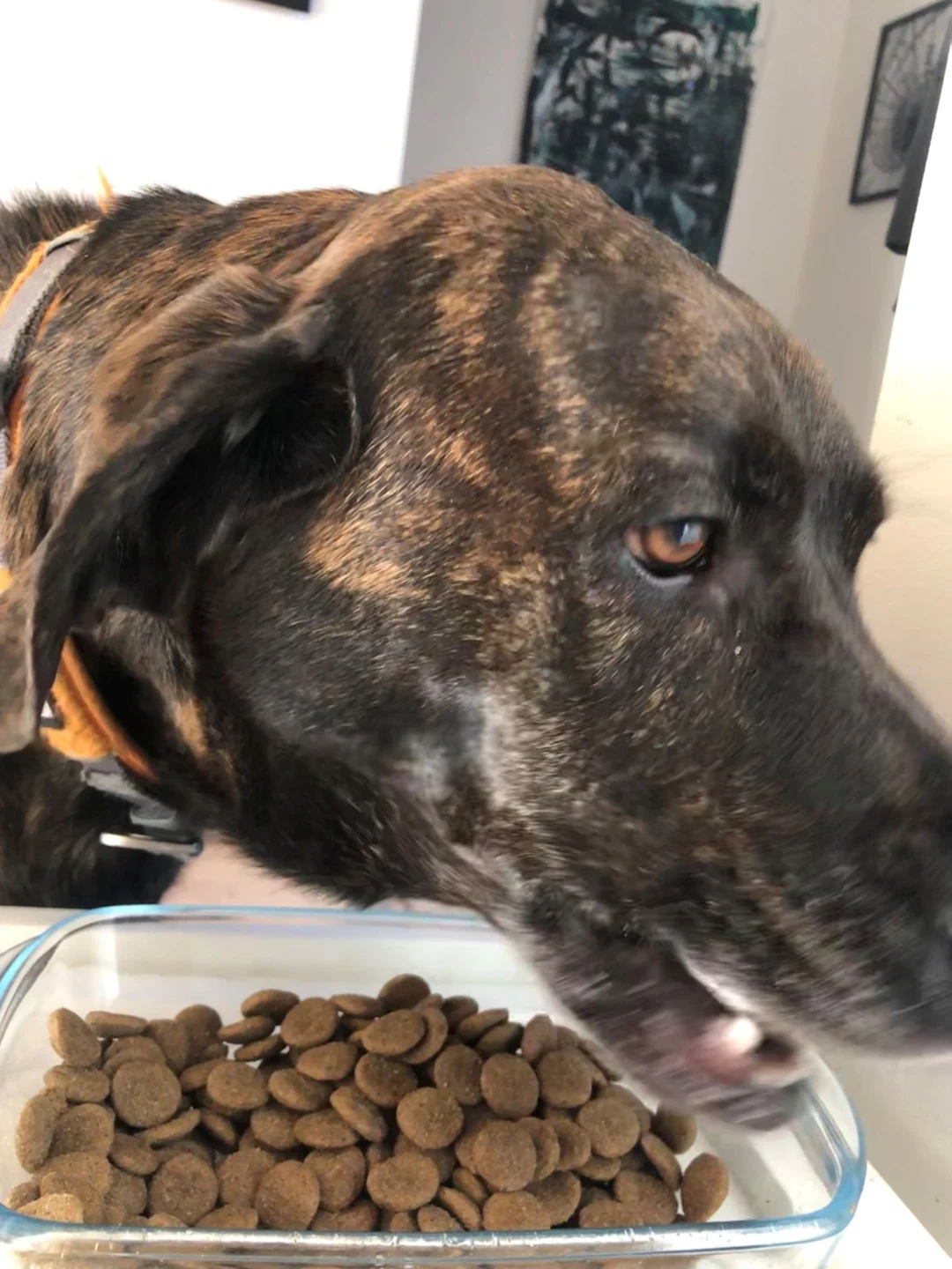 Munchin' and crunchin' with this cool well dude :) | Scrolller