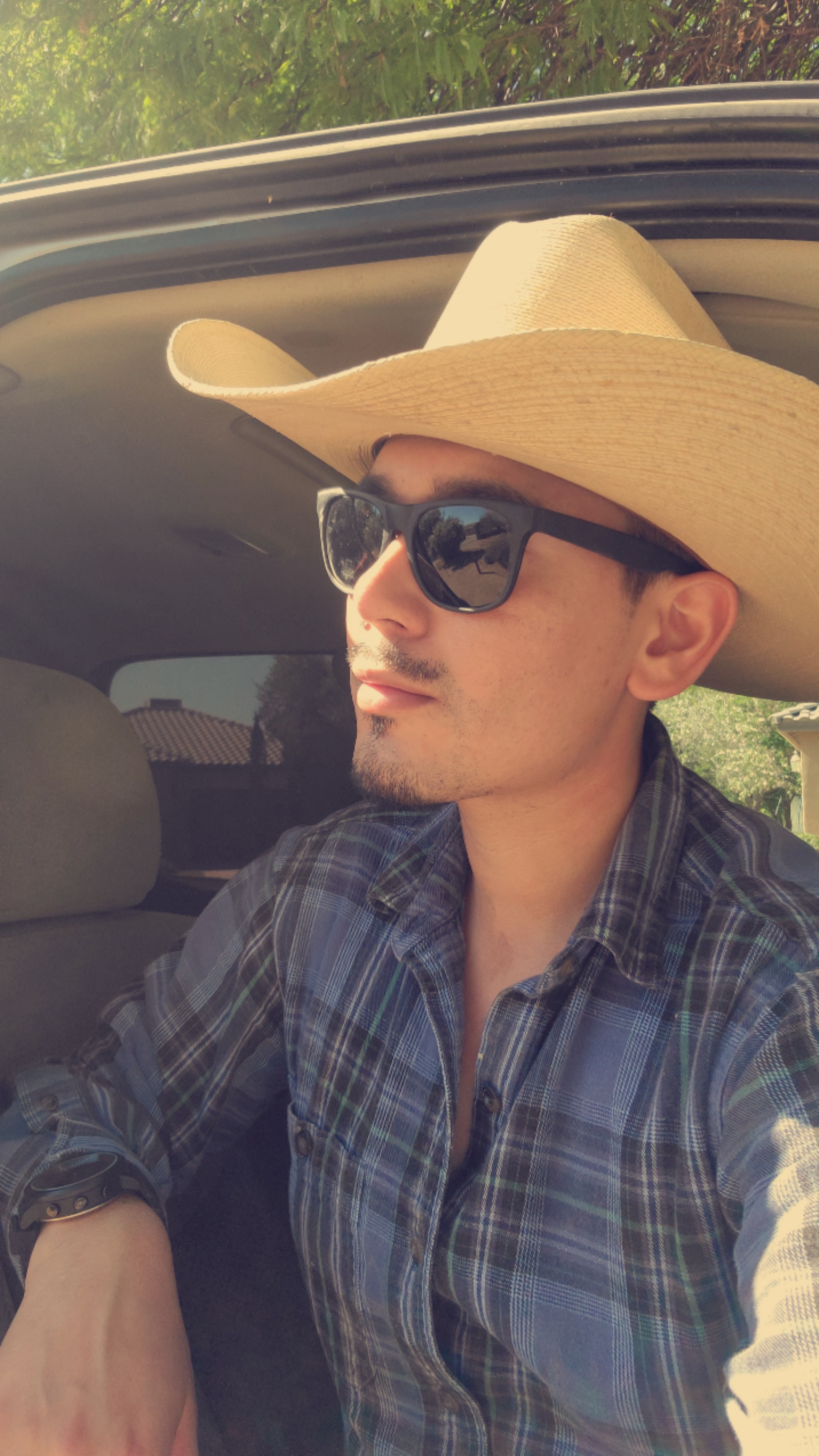 Hi from the land of snakes and scorpions 🦂 | Scrolller