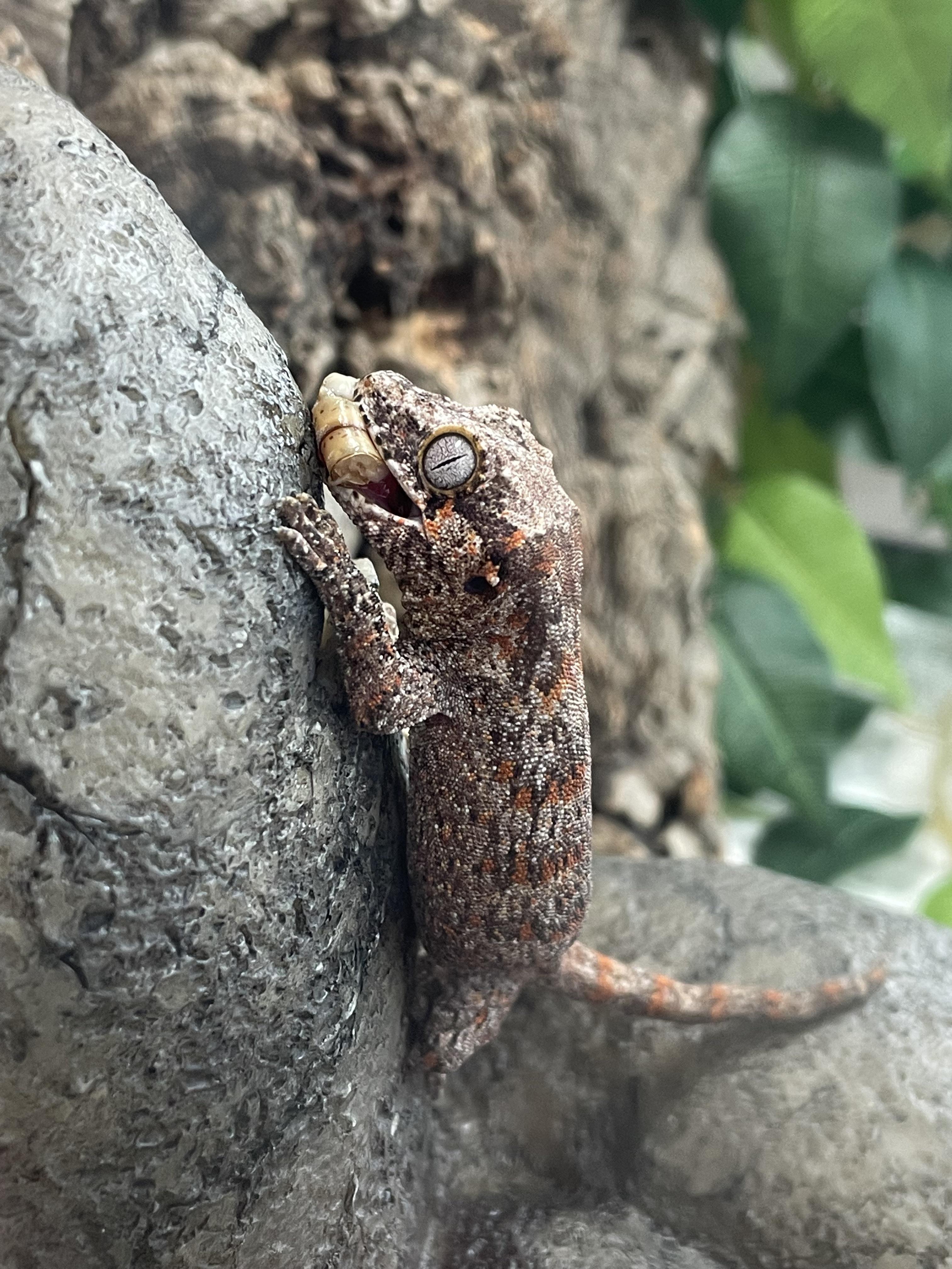 Joanna’s first successful feeding | Scrolller