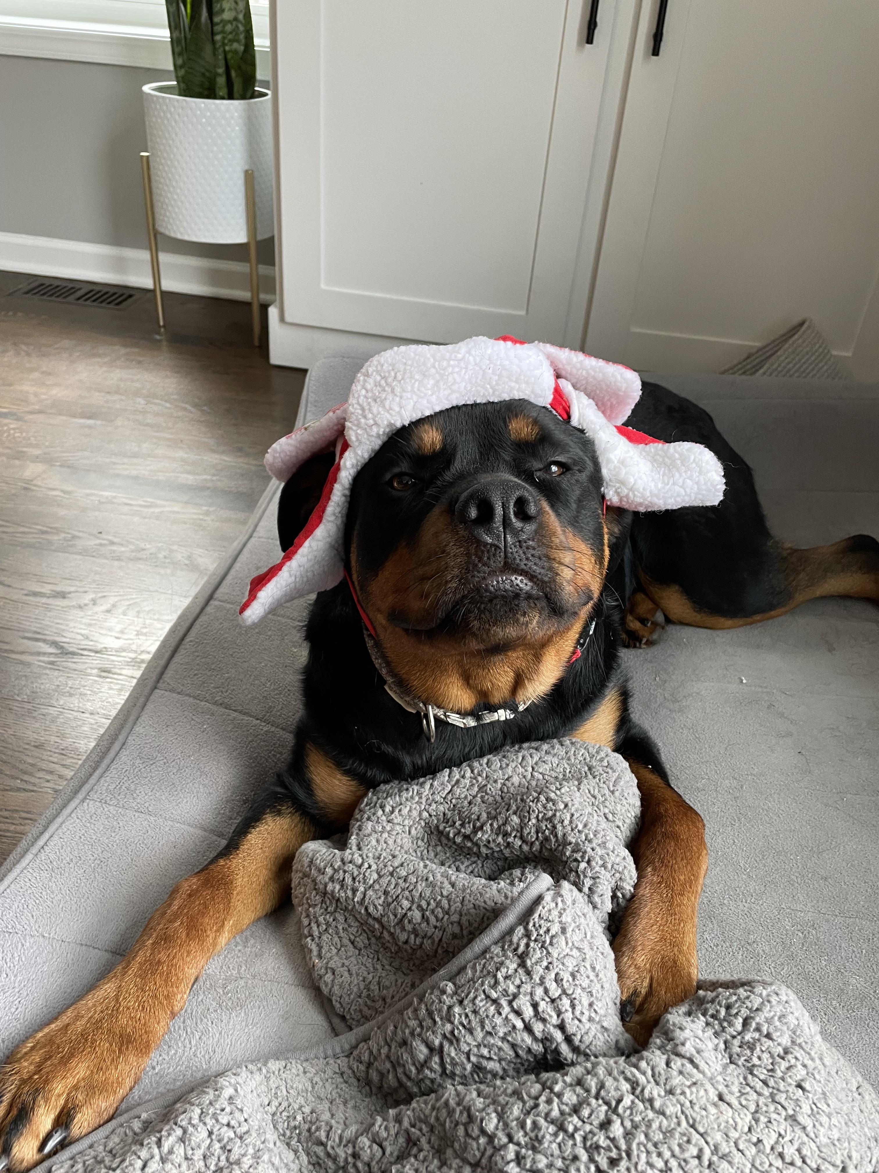 Shitters full | Scrolller