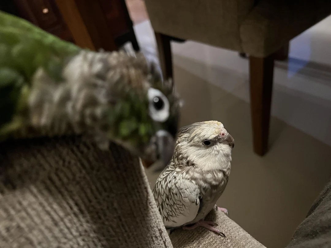 “That green guy is very weird” | Scrolller