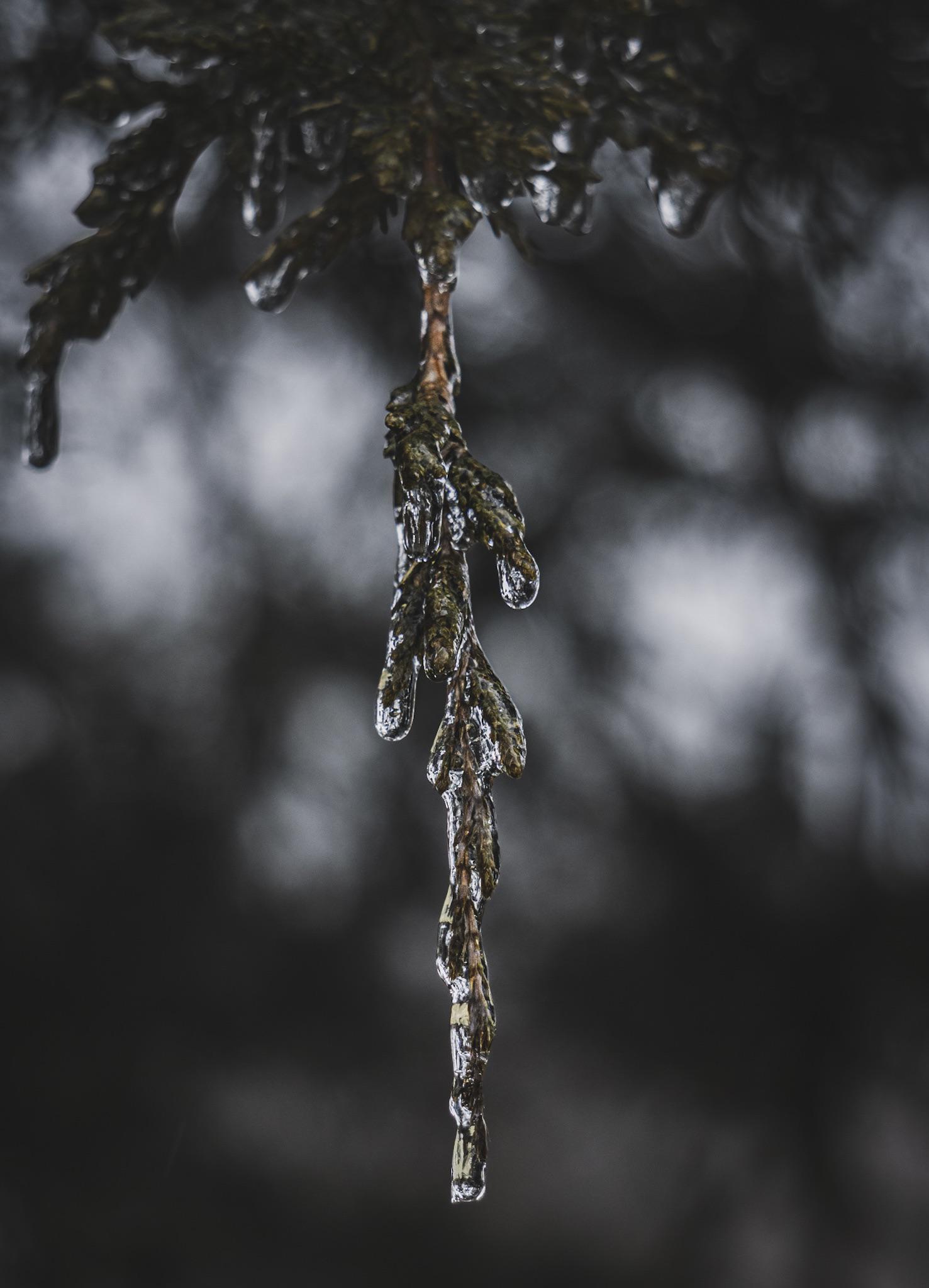 Icy day in Michigan | Scrolller