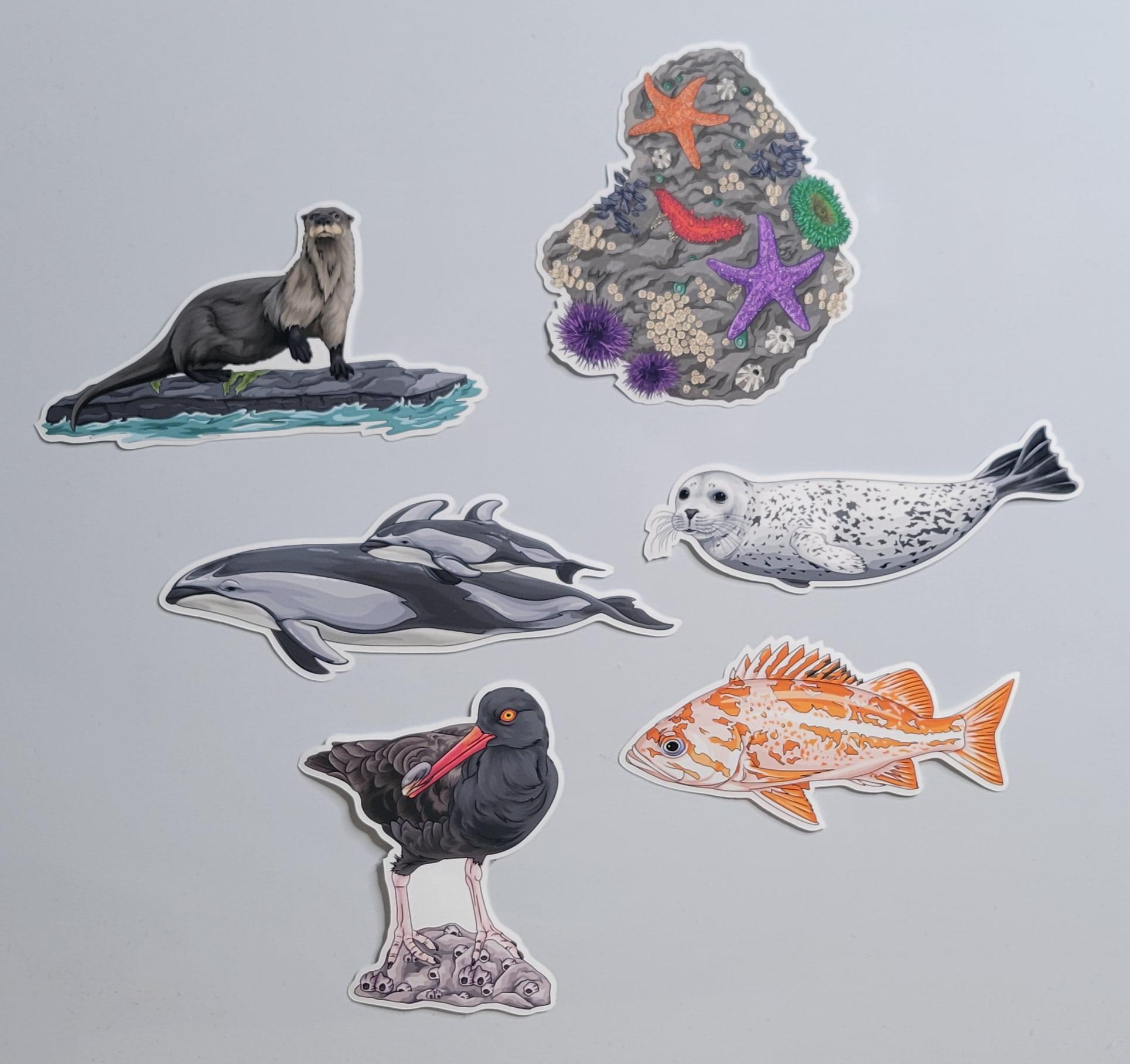Pacific Northwest Marine Animal Stickers | Scrolller