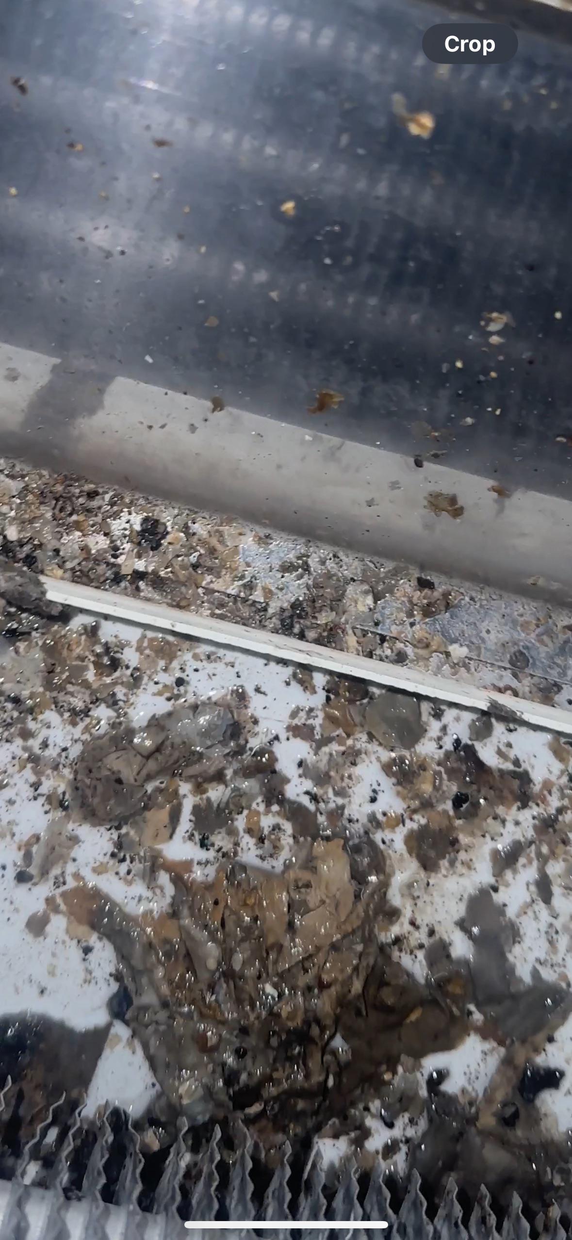 Weird mold growing in refrigerator | Scrolller