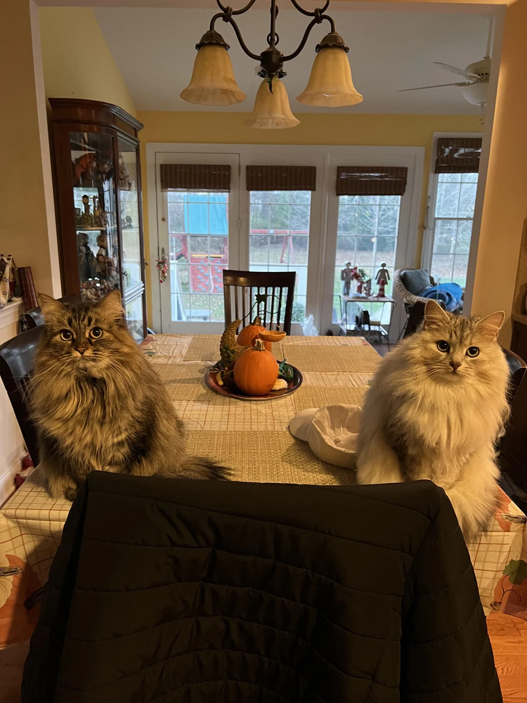 Waiter???? | Scrolller