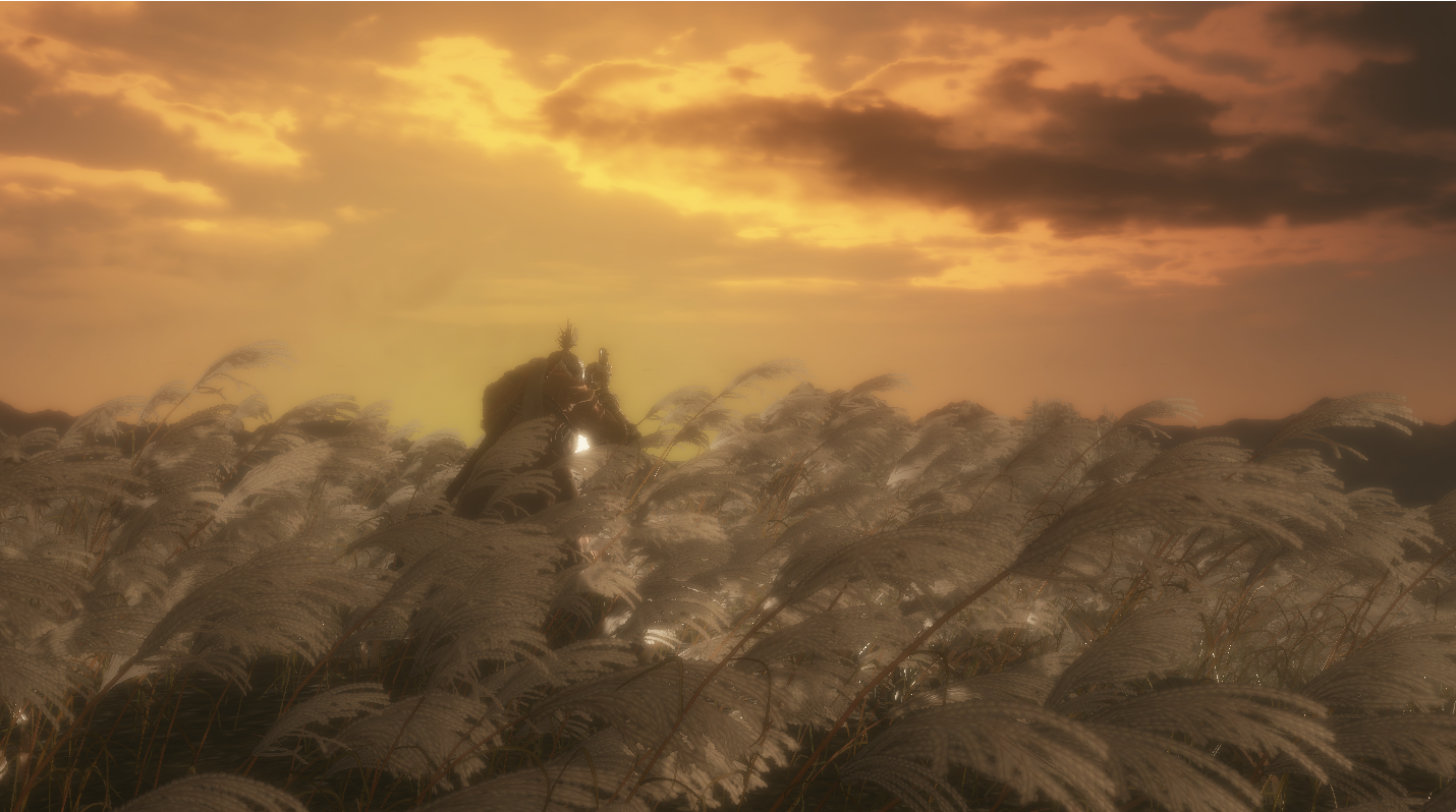 Farewell Sekiro. | Scrolller