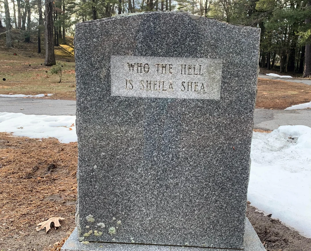 Who The Hell Is Sheila Shea? | Scrolller