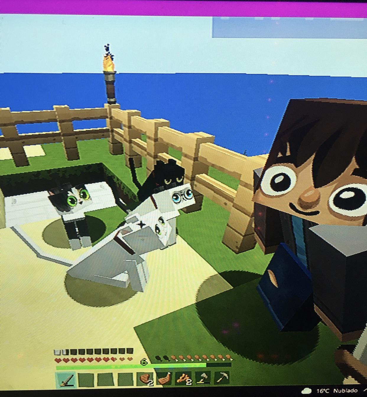 Does anyone know what the texture pack is? | Scrolller