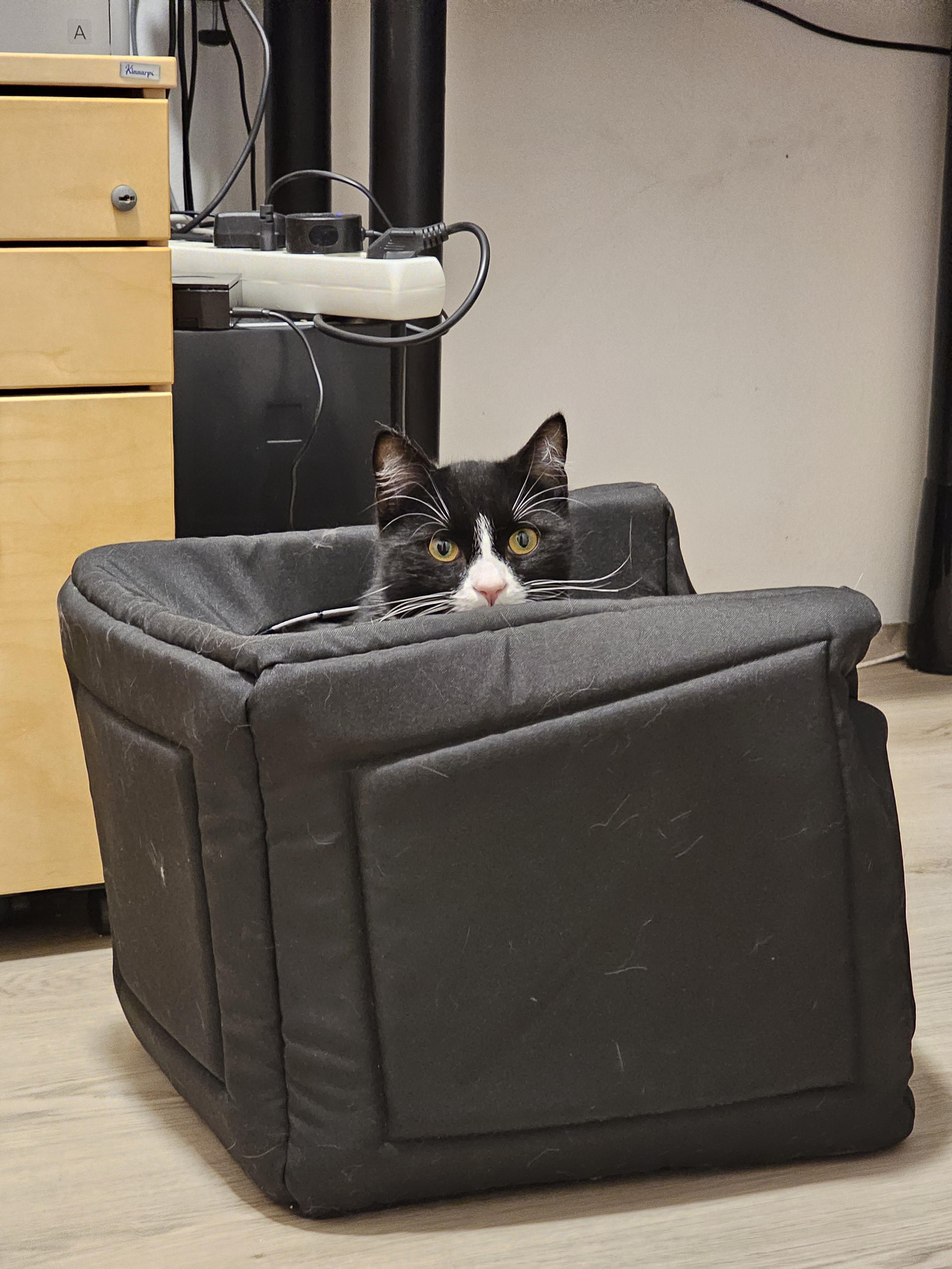 Someone got caught | Scrolller