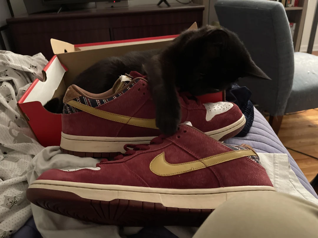 Bonus touchy | Scrolller