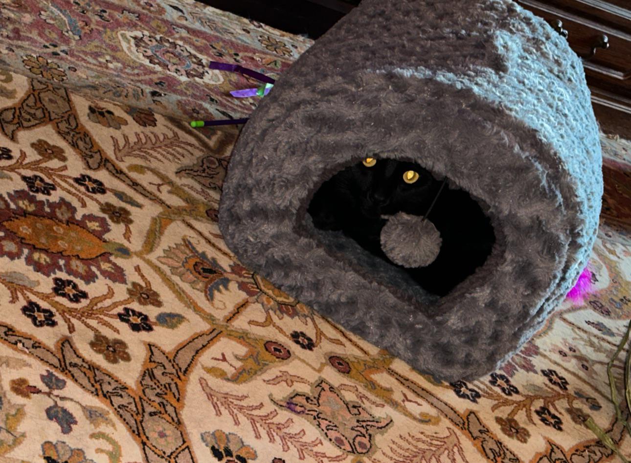 Incognito void | Scrolller