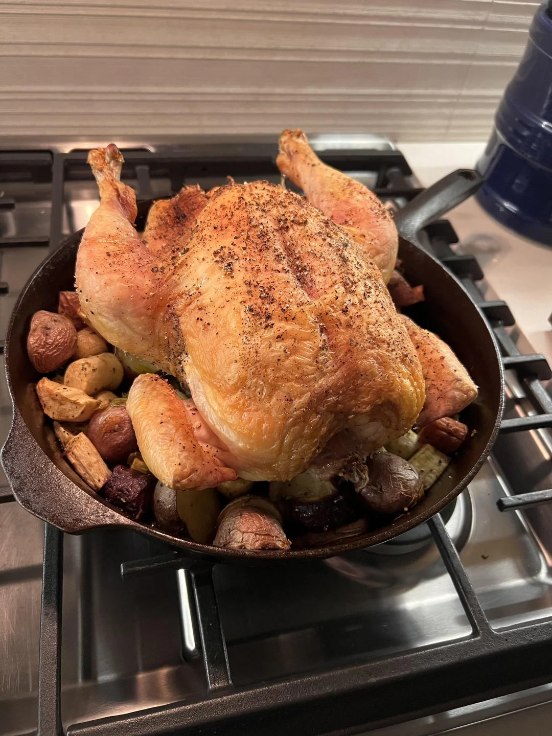 Weeknight Roasted Chicken | Scrolller