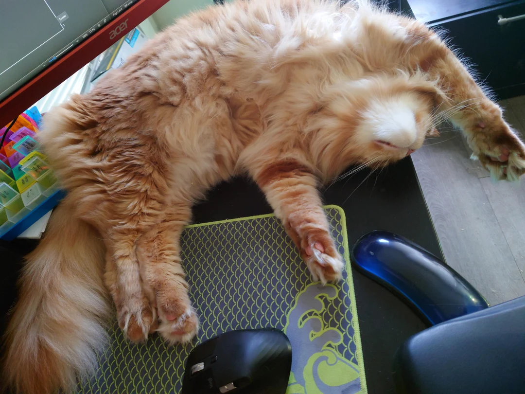 Comfort redefined! | Scrolller