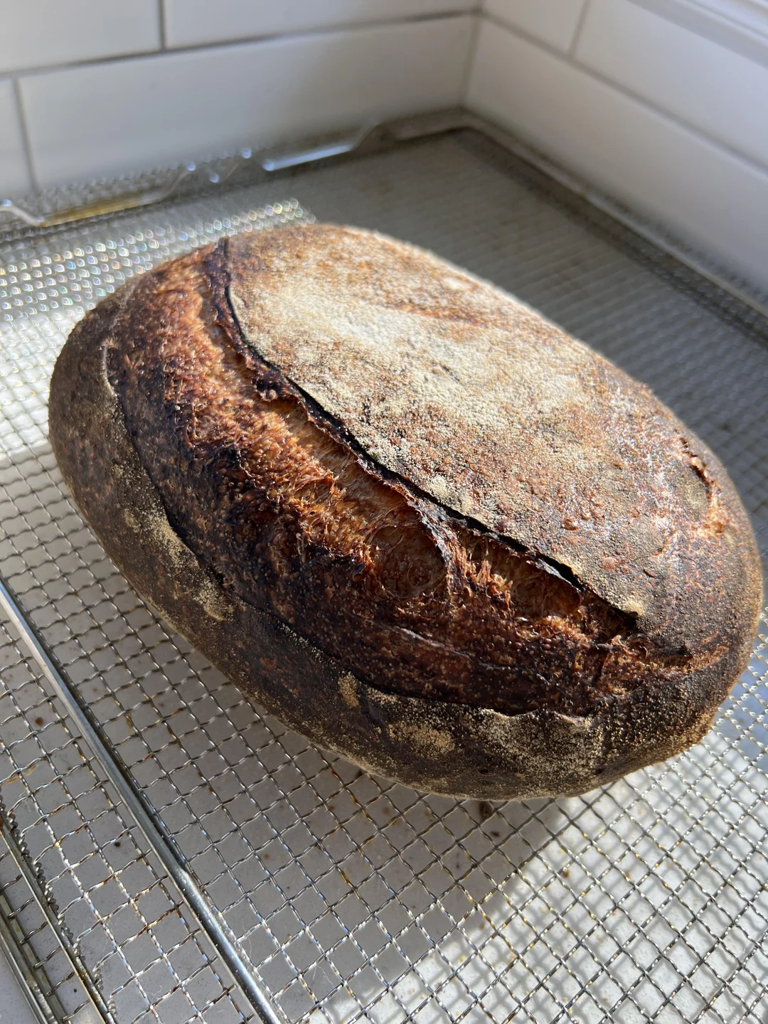 First successful sourdough bread - not amazing, but I'll take it | Scrolller