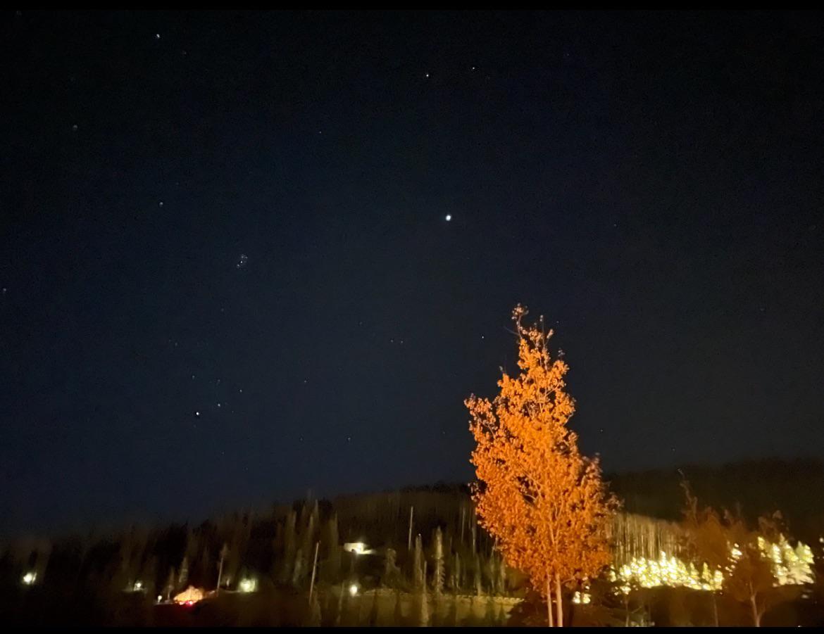 Bonfire tree and stars | Scrolller