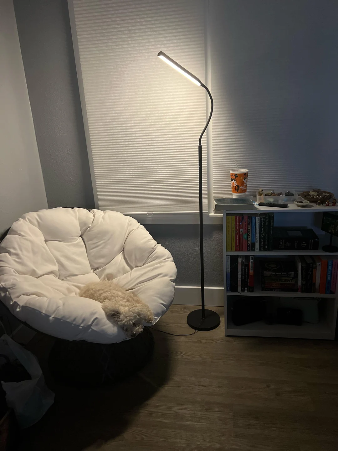 New Little Reading Nook🤓 | Scrolller