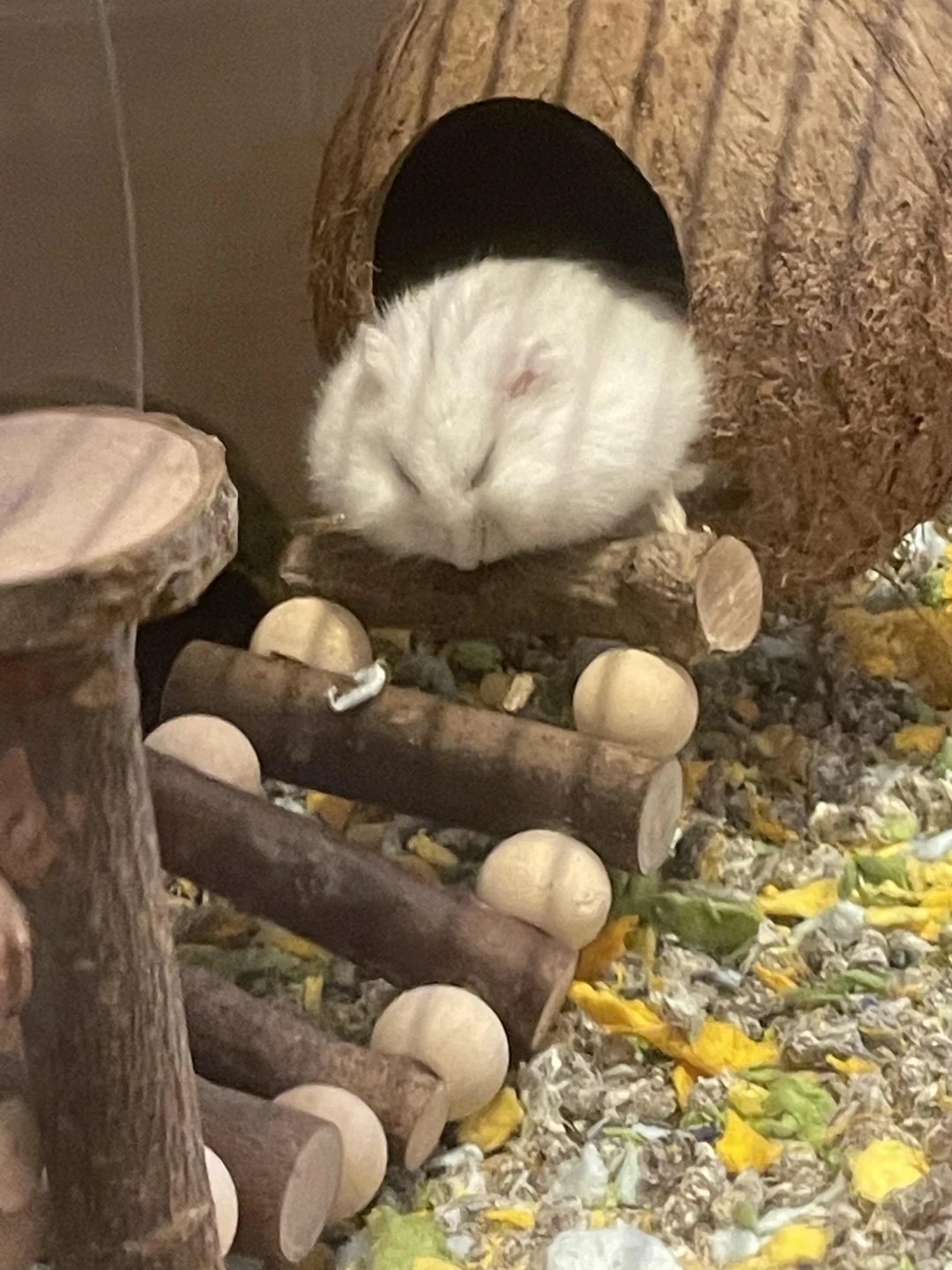 Melting-in-progress | Scrolller