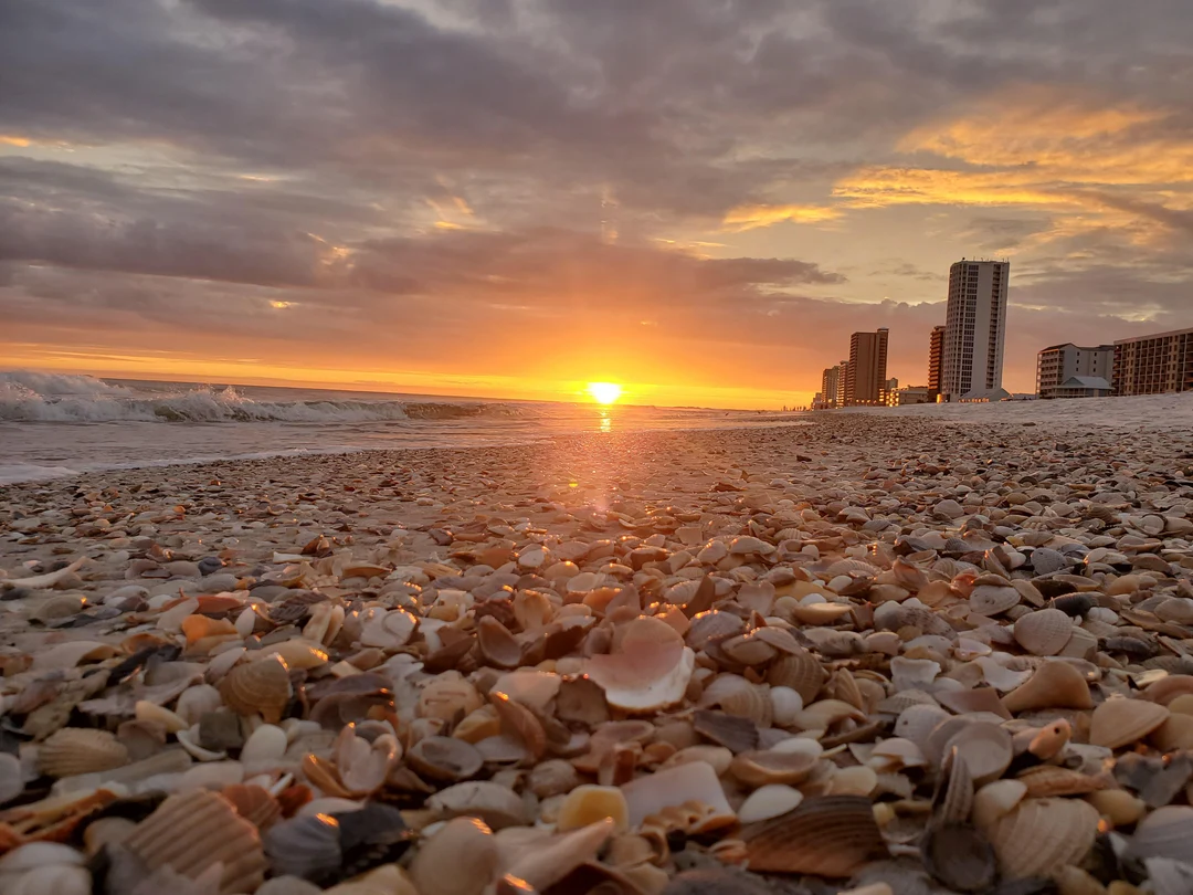 Discover more like SkyPorn: Gulf Shores 3 and Related Content | Scrolller