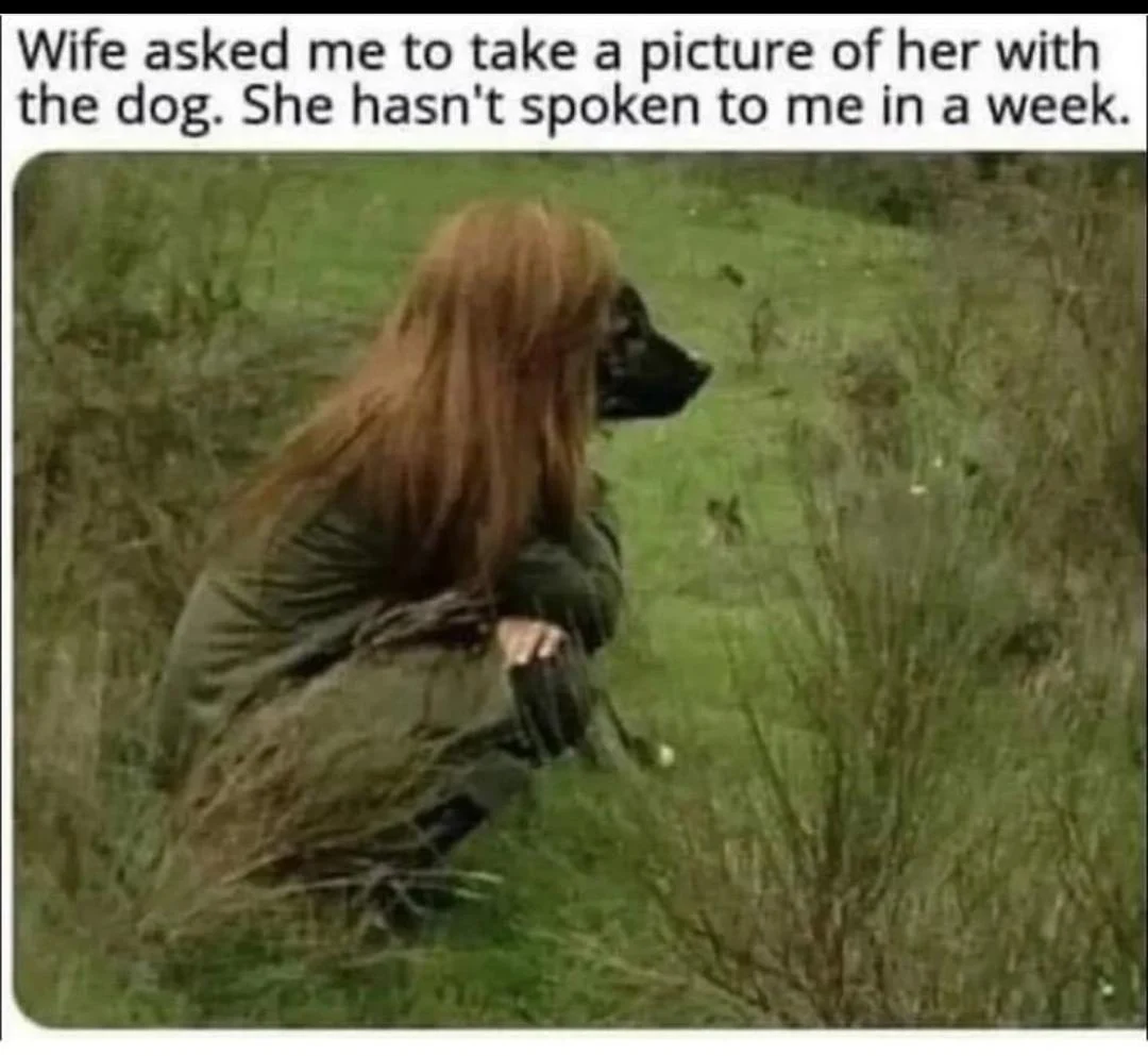 Reasonable | Scrolller