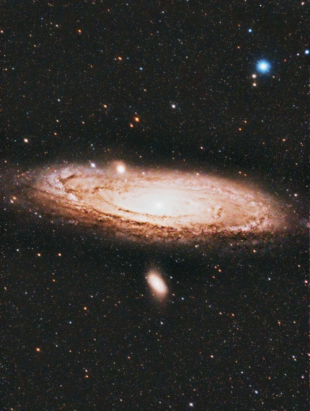 Andromeda [OC] | Scrolller