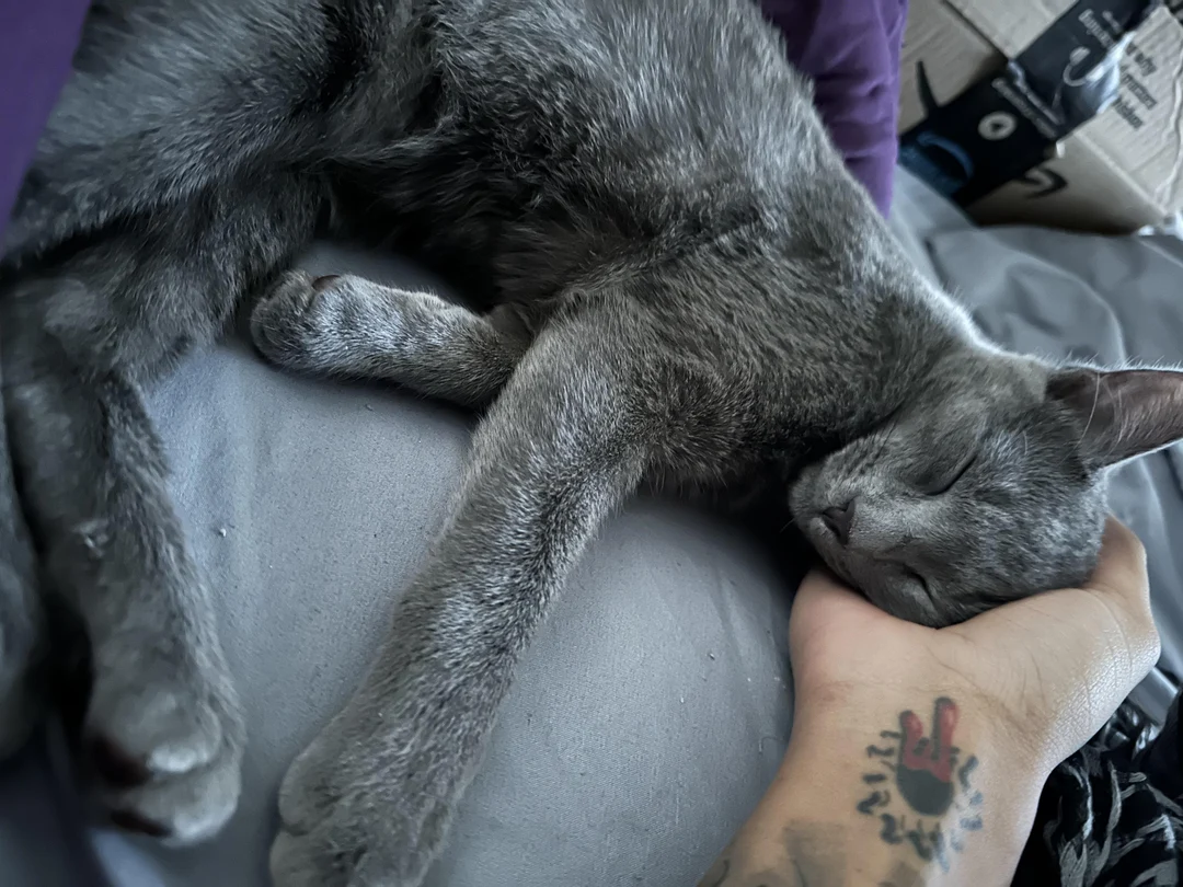 I’ve been here for hours… I resign to my fate ️ | Scrolller